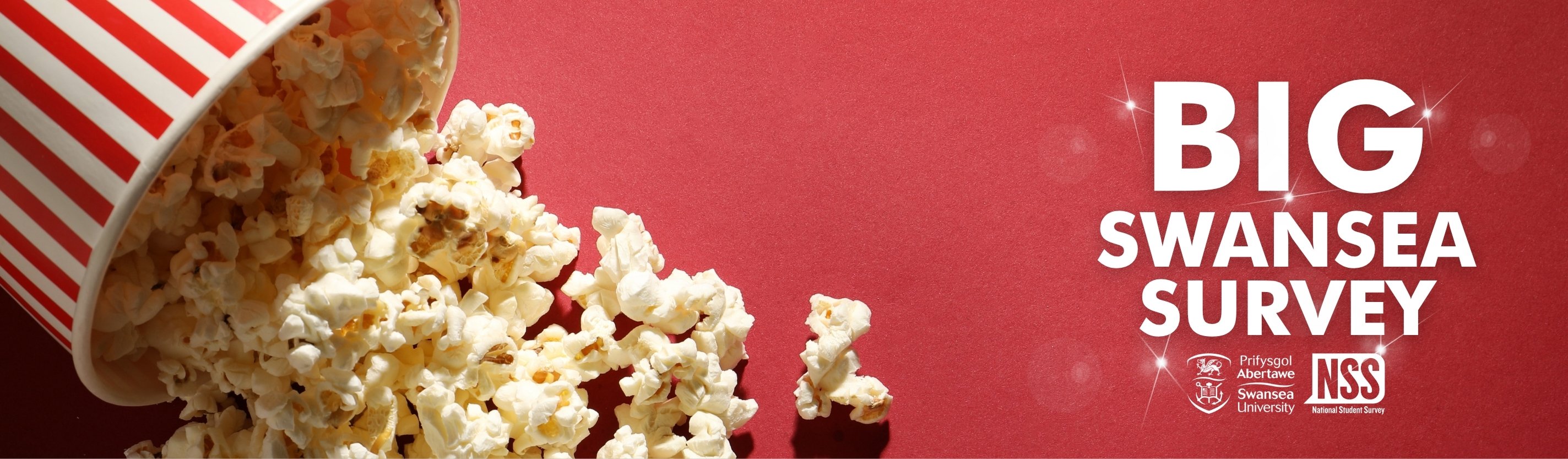 The home of current students - Swansea University